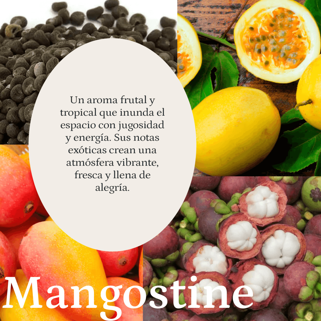 Mangostine: Aroma exótico para transformar tu espacio